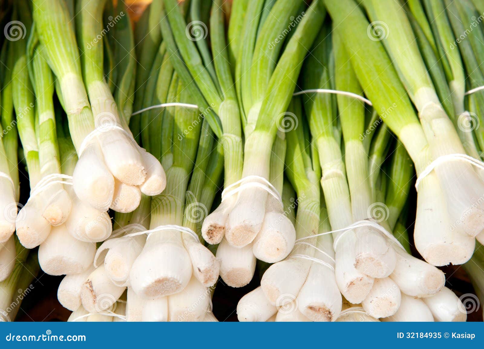 Young chives stock image. Image of salad, young, vegetable - 32184935