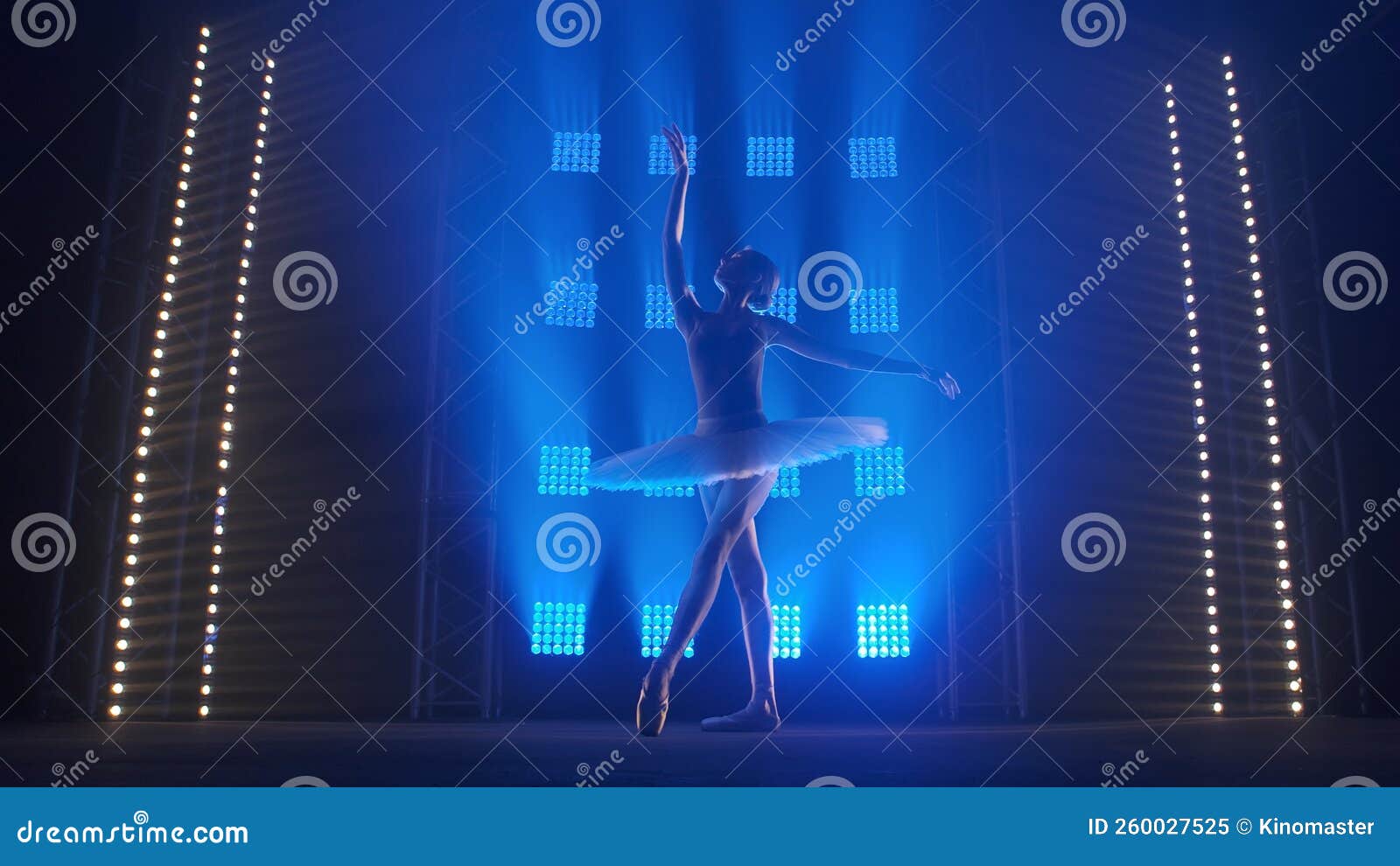Young Classical Ballet Dancer Dancing in Background of Smoke and ...