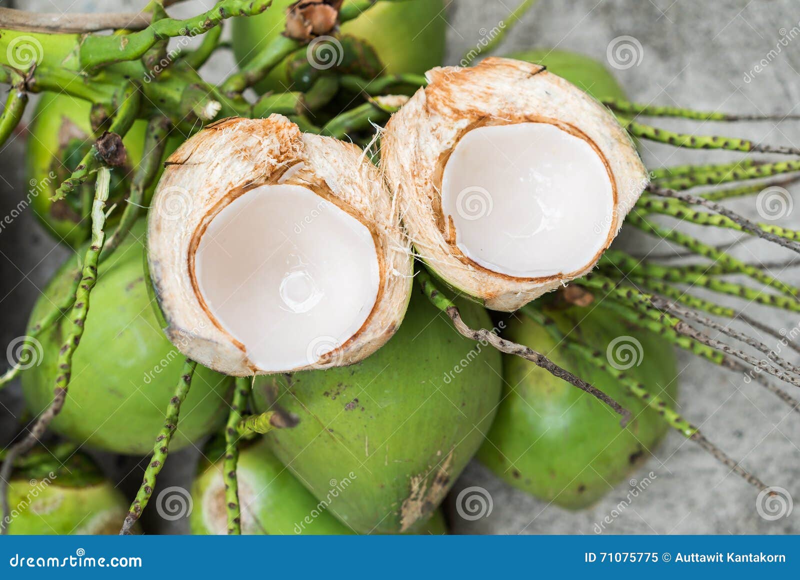 Young coconut stock image. Image of holiday, haft, diets - 71075775