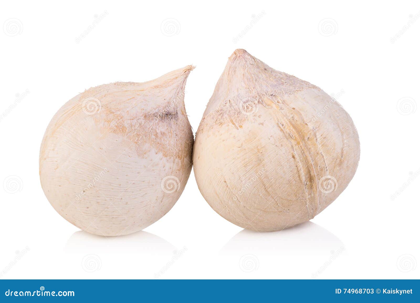 Young Coconut Meat on White Background Stock Image - Image of juice ...