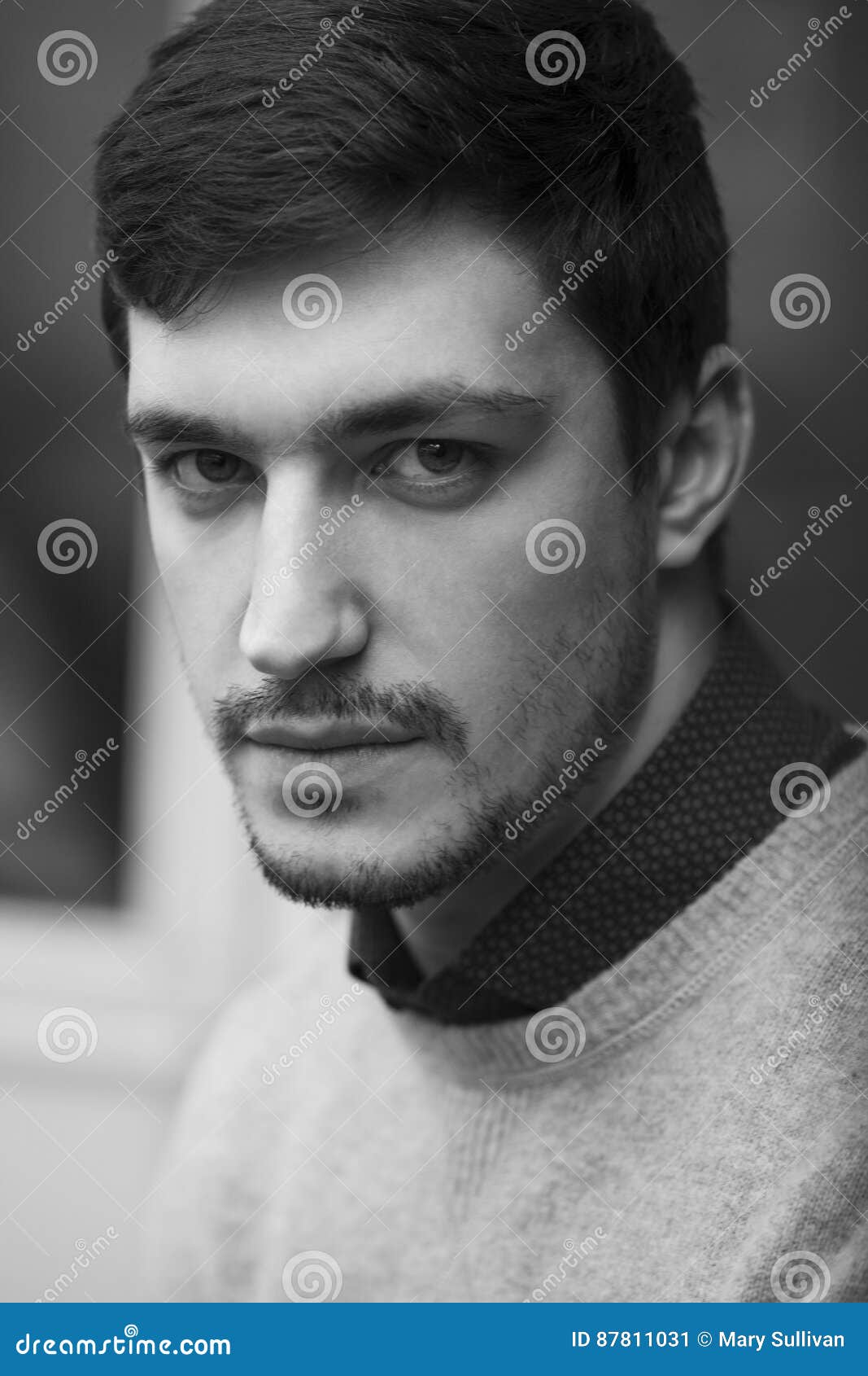 Young Confident Man in Sweater Stoic Stock Image - Image of serious ...