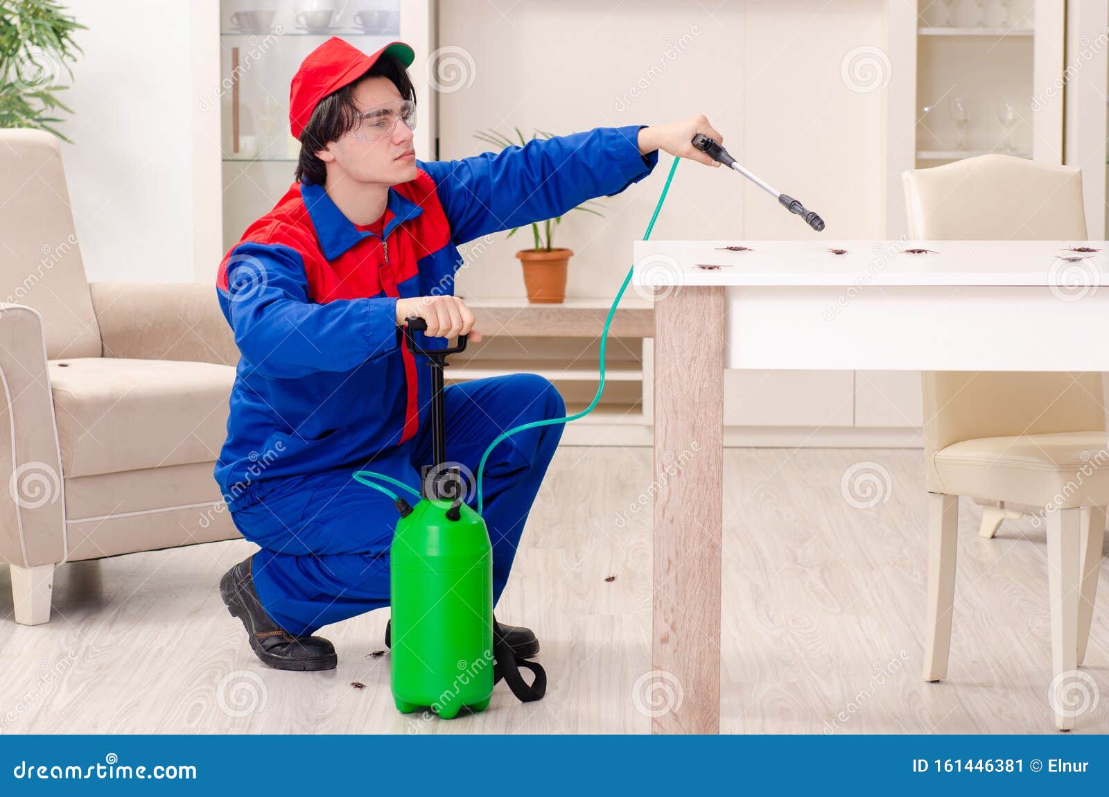 Young Contractor Doing Pest Control at Home Stock Image - Image of ...