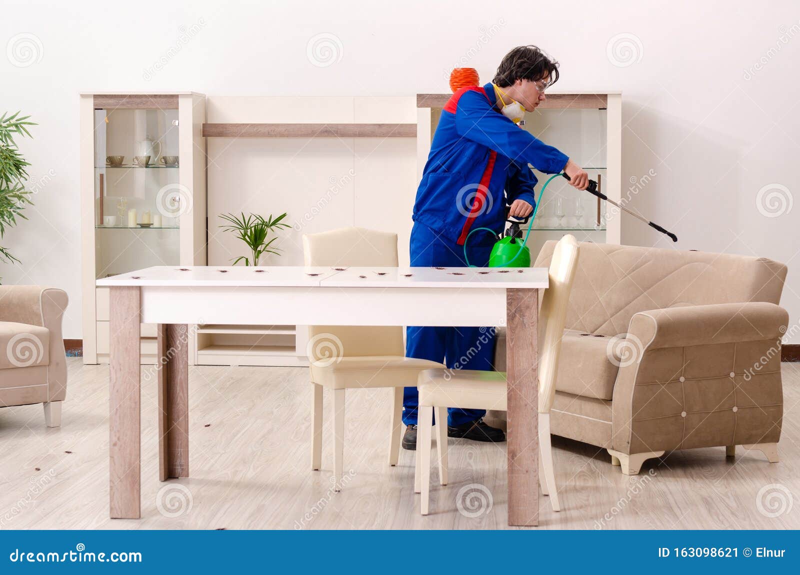 Young Contractor Doing Pest Control at Home Stock Image - Image of ...