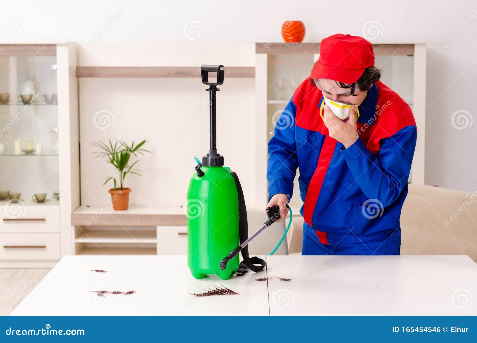 Young Contractor Doing Pest Control at Home Stock Photo - Image of ...