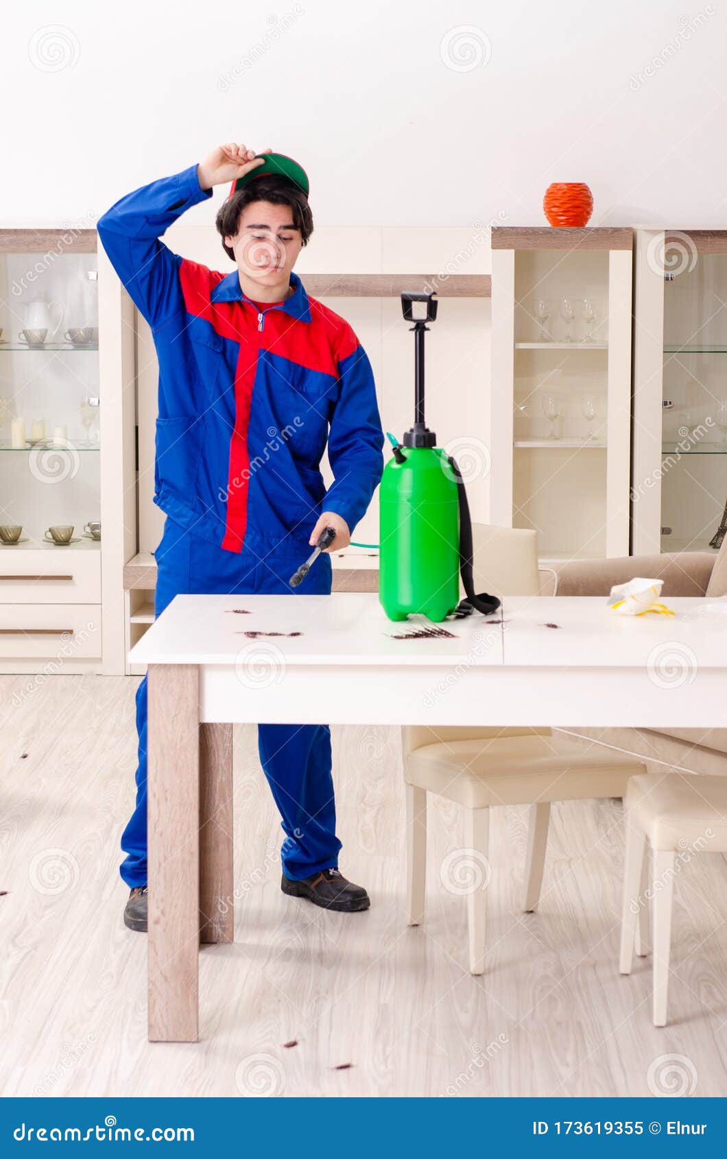 Young Contractor Doing Pest Control at Home Stock Image - Image of ...