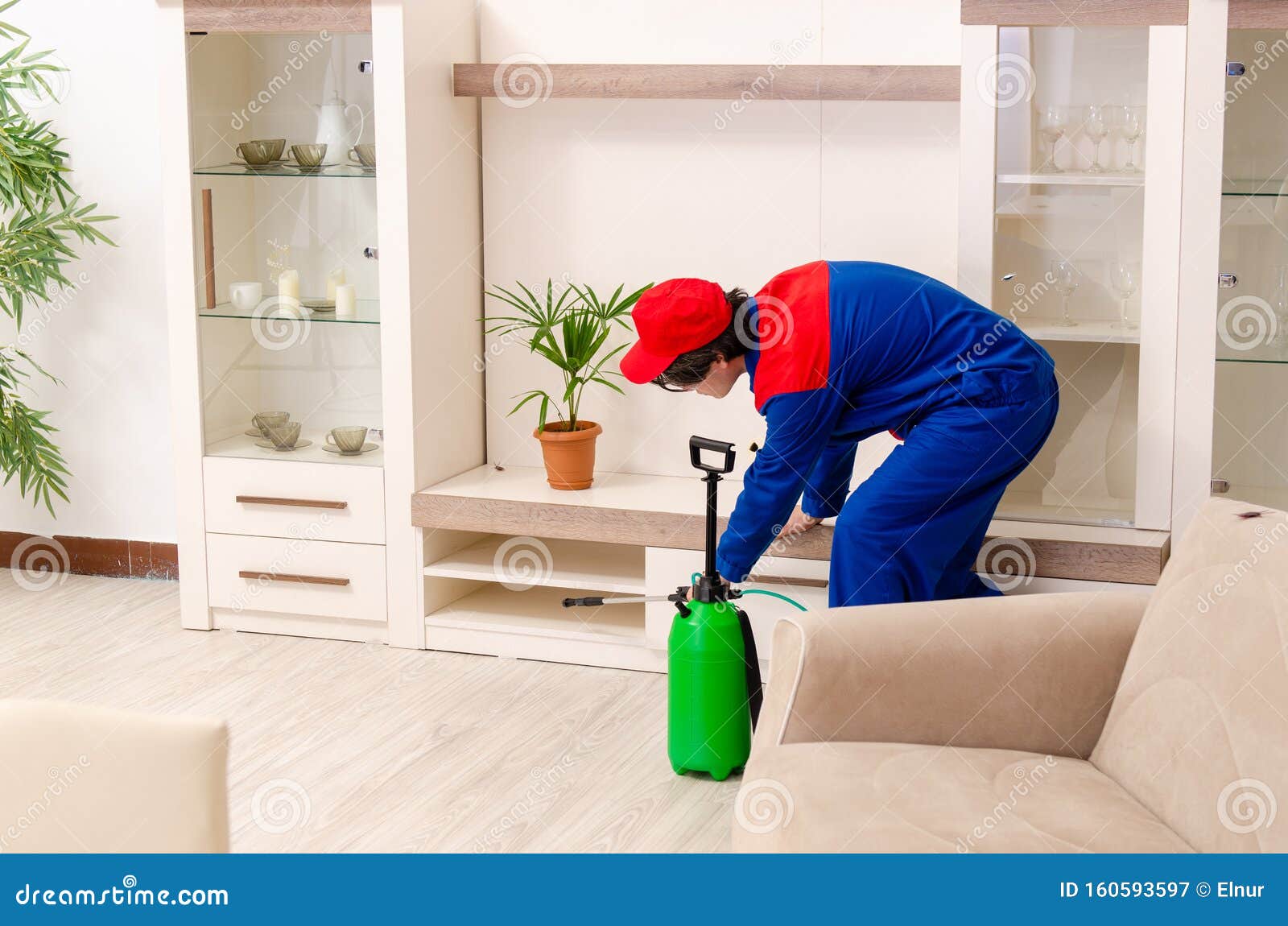 Young Contractor Doing Pest Control at Home Stock Image - Image of ...