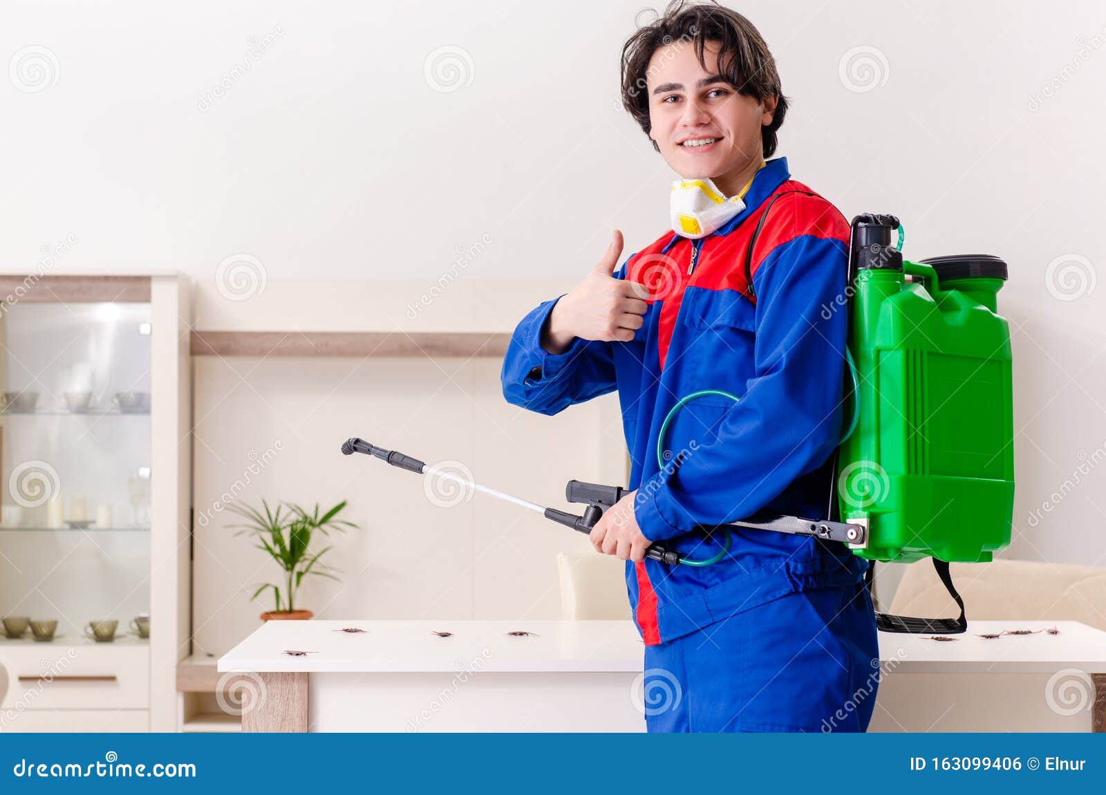 Young Contractor Doing Pest Control at Home Stock Photo - Image of ...