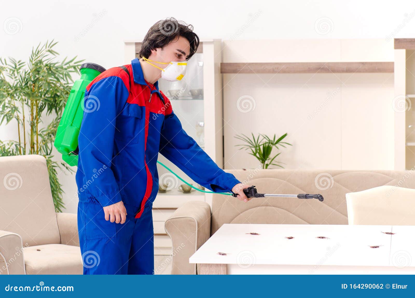 Young Contractor Doing Pest Control at Home Stock Photo - Image of pest ...