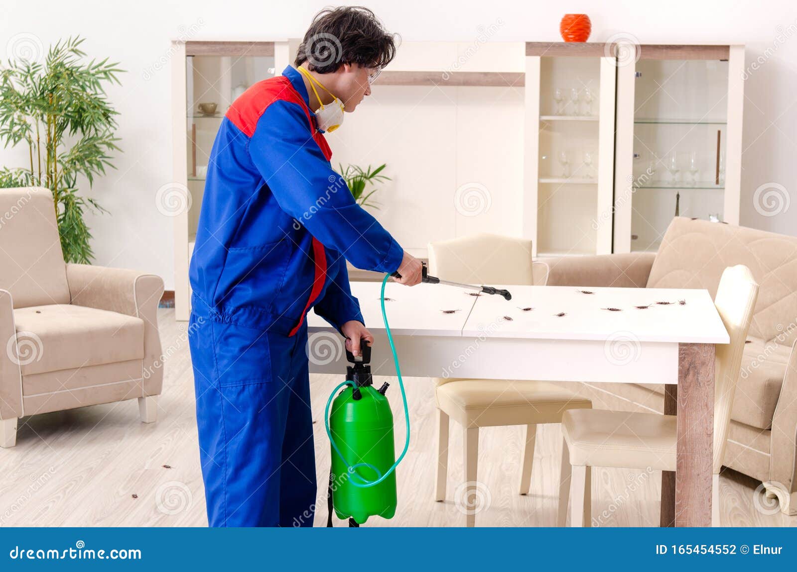 Young Contractor Doing Pest Control at Home Stock Photo - Image of ...
