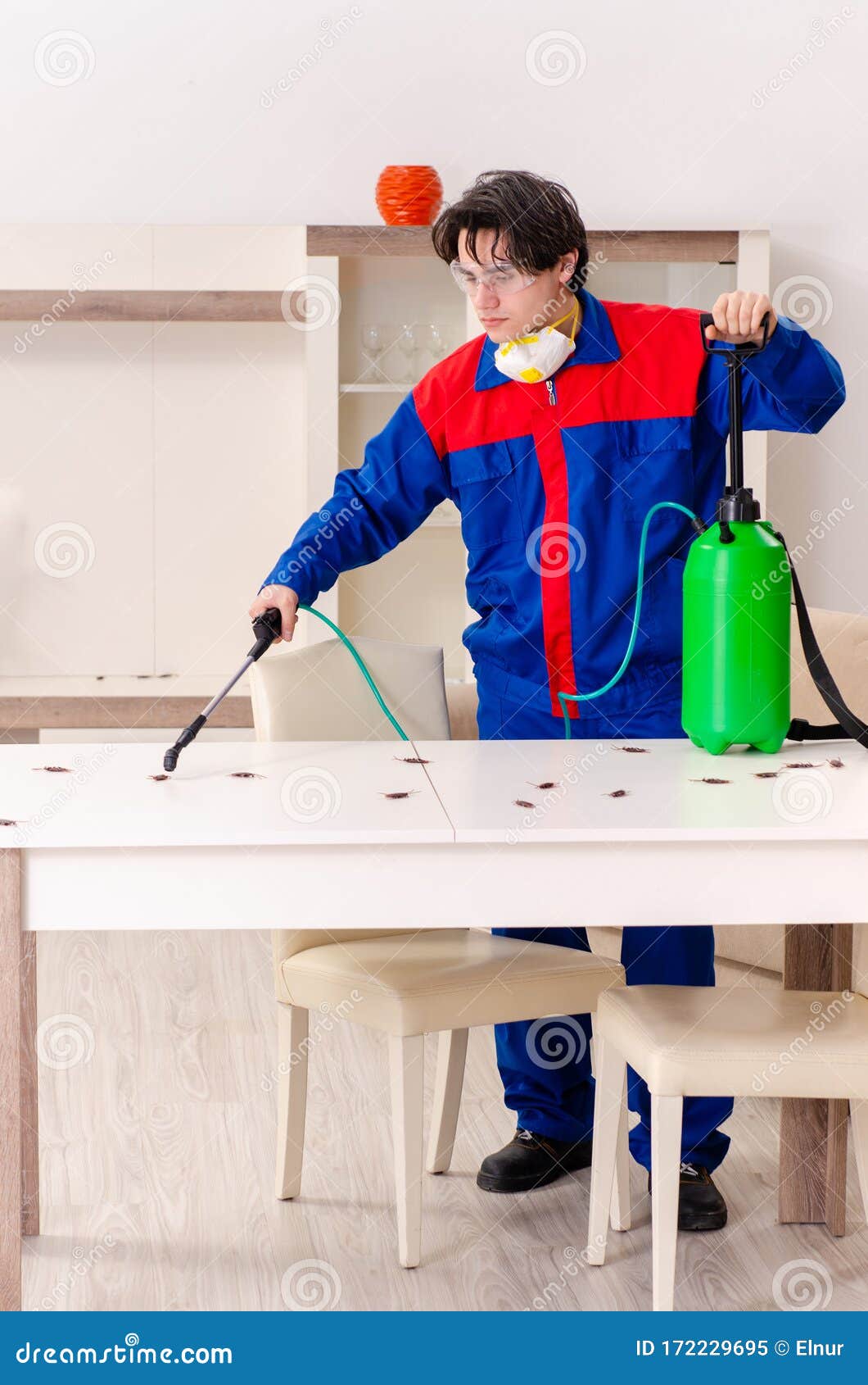 Young Contractor Doing Pest Control at Home Stock Image - Image of ...