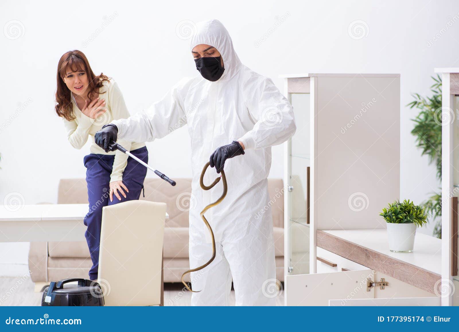 Young Male Contractor Exterminating Snakes in the Flat Stock Photo ...