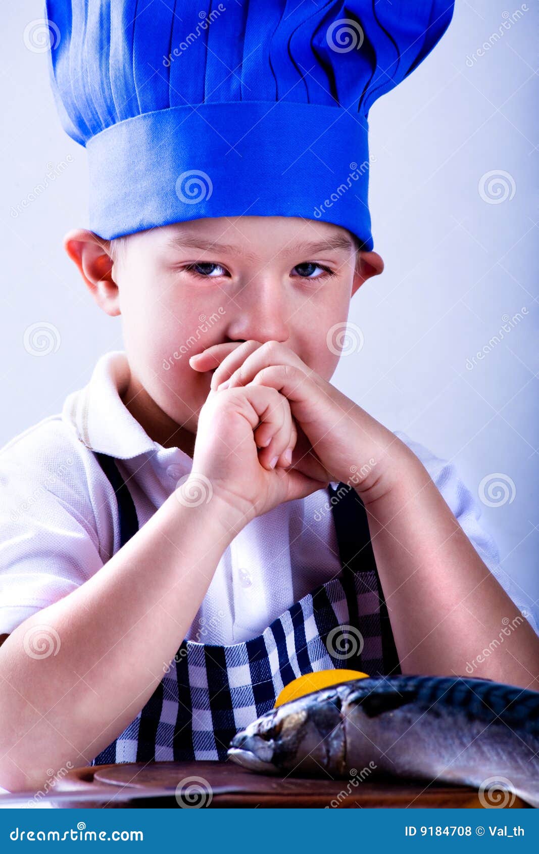 Young cook stock photo. Image of preparation, chef, fish - 9184708