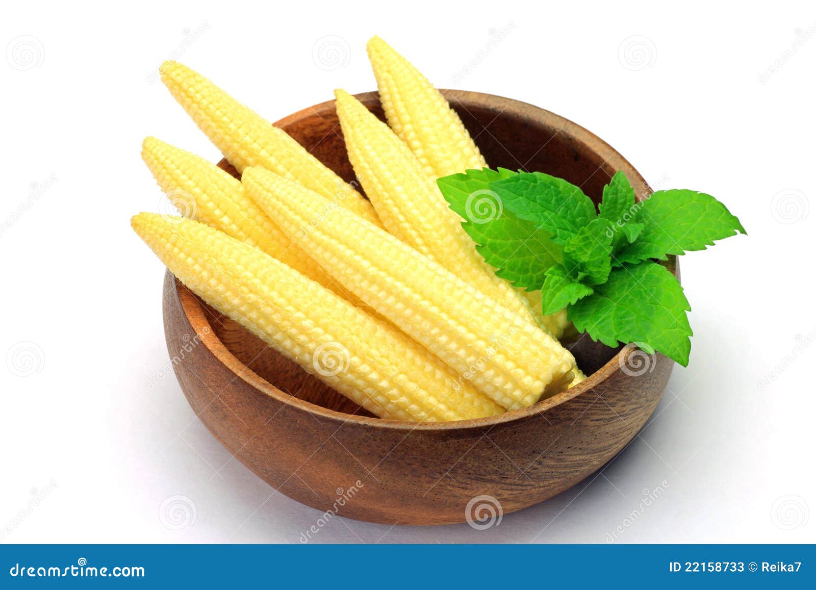 Young corn stock image. Image of young, vegetable, white - 22158733