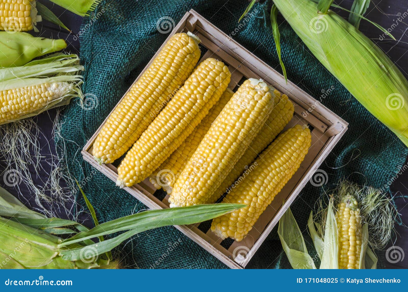 Young corn in a box stock image. Image of food, farm - 171048025
