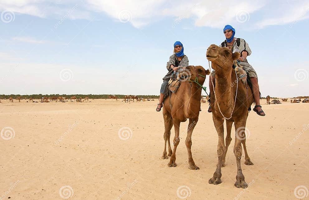 Young couple on camels stock image. Image of animal, animals - 16634633