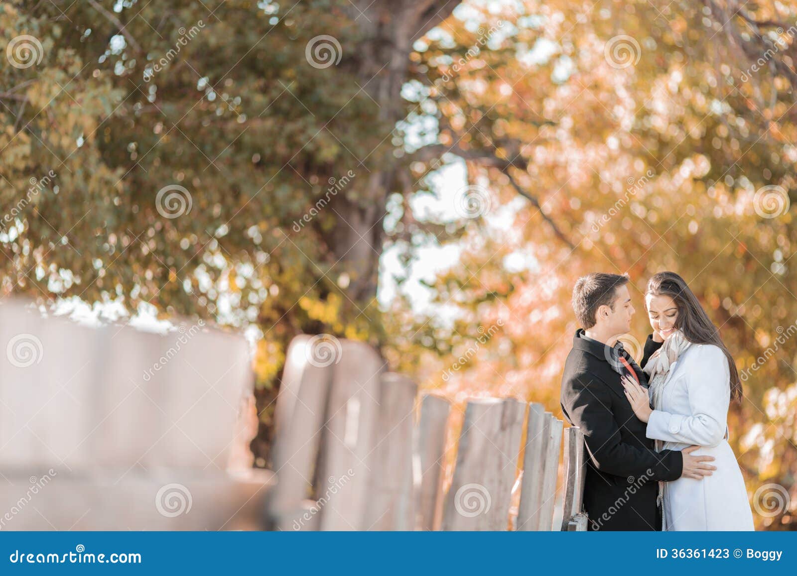 Young couple by the fence stock image. Image of life - 36361423