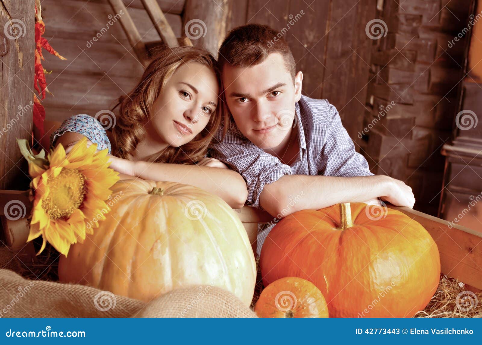 Young Couple Having Dating in the Hayloft Stock Image - Image of straw ...