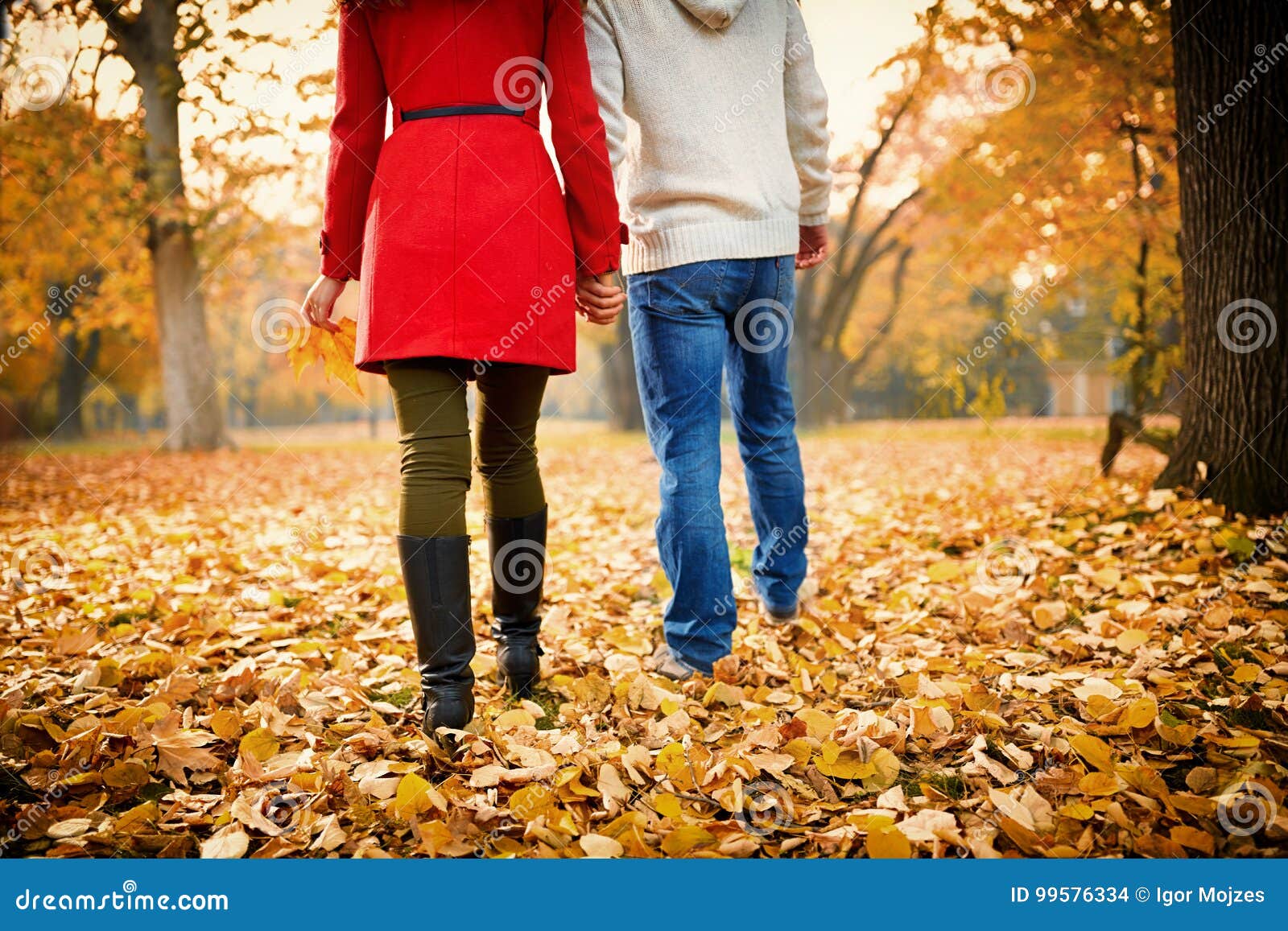 Young Couple Walking in Park in Autumn Stock Photo - Image of back ...
