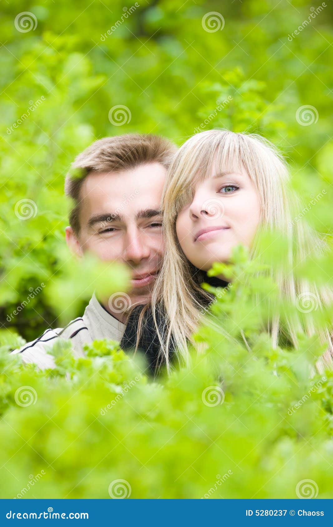 Young Couple Look Out of Green Bushes Stock Image - Image of family ...