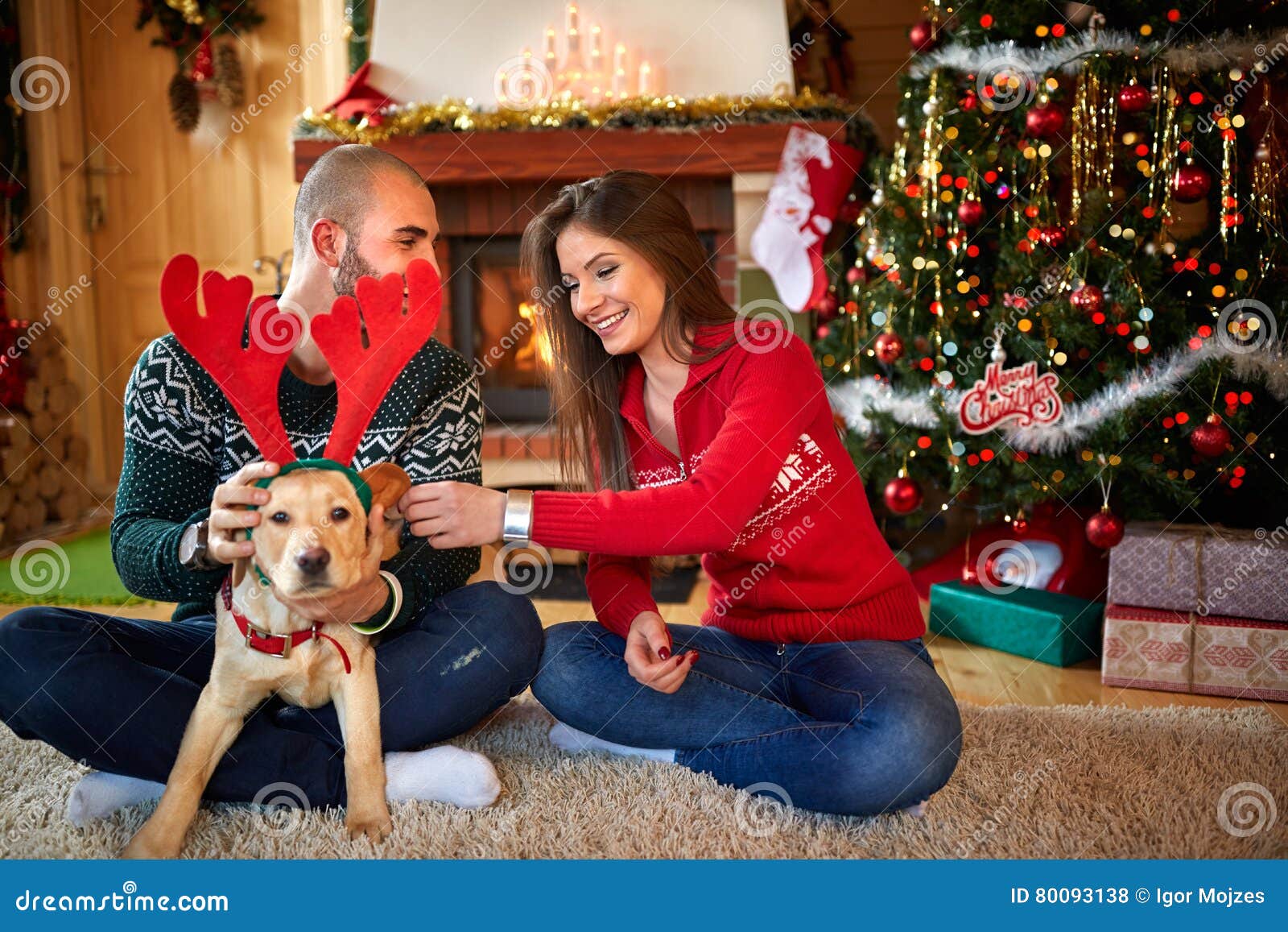 Young Couple Making Fun with Dog for Christmas Stock Photo - Image of ...