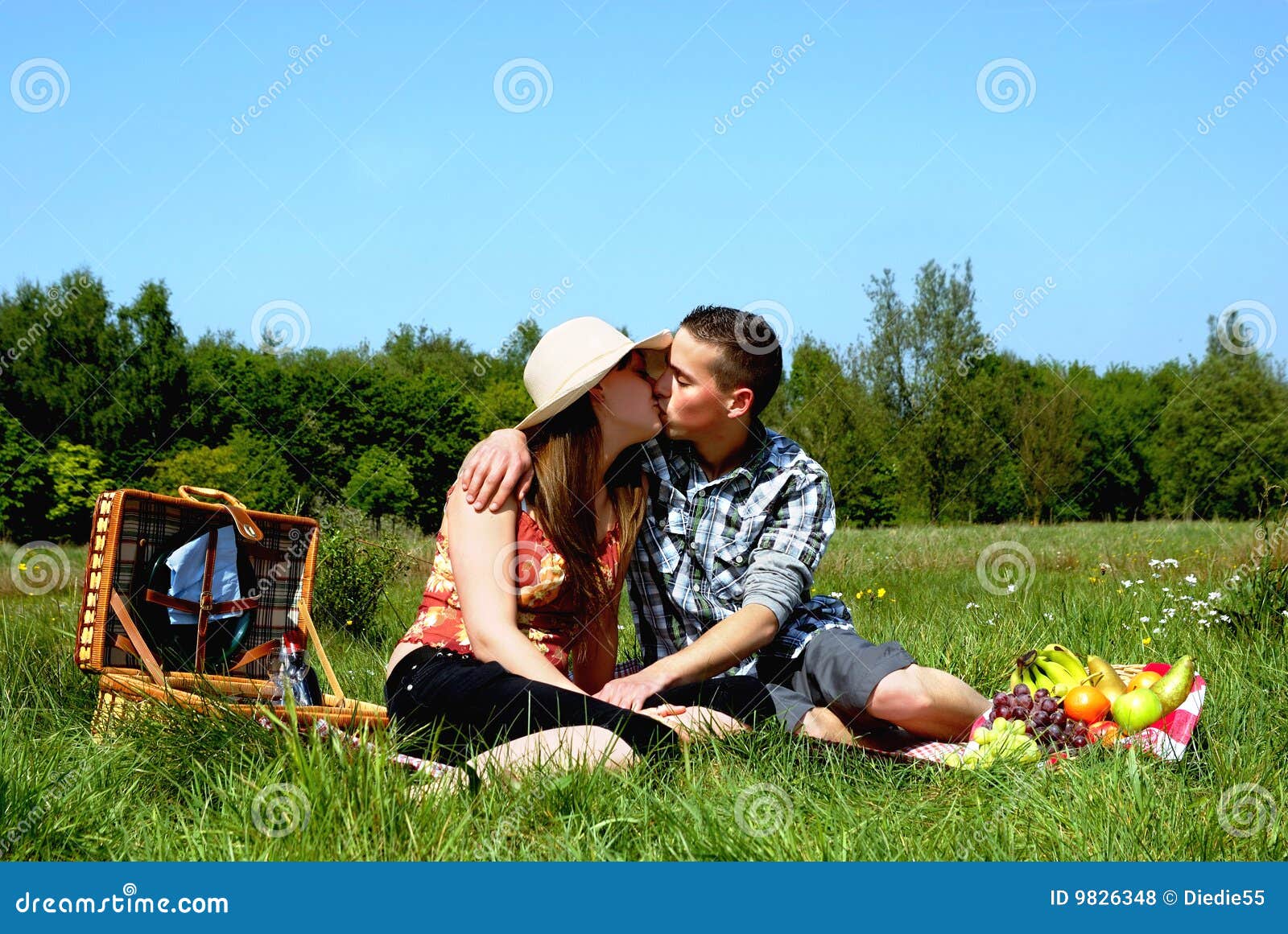 Young couple at picnic stock photo. Image of romance, blanket - 9826348
