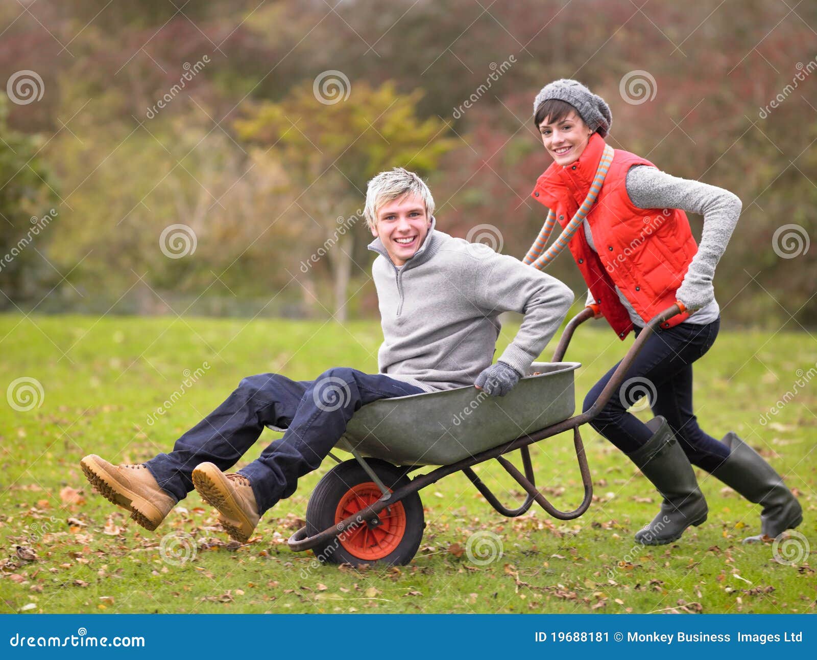 Young Couple Playing in Wheelbarrow Stock Image - Image of love ...