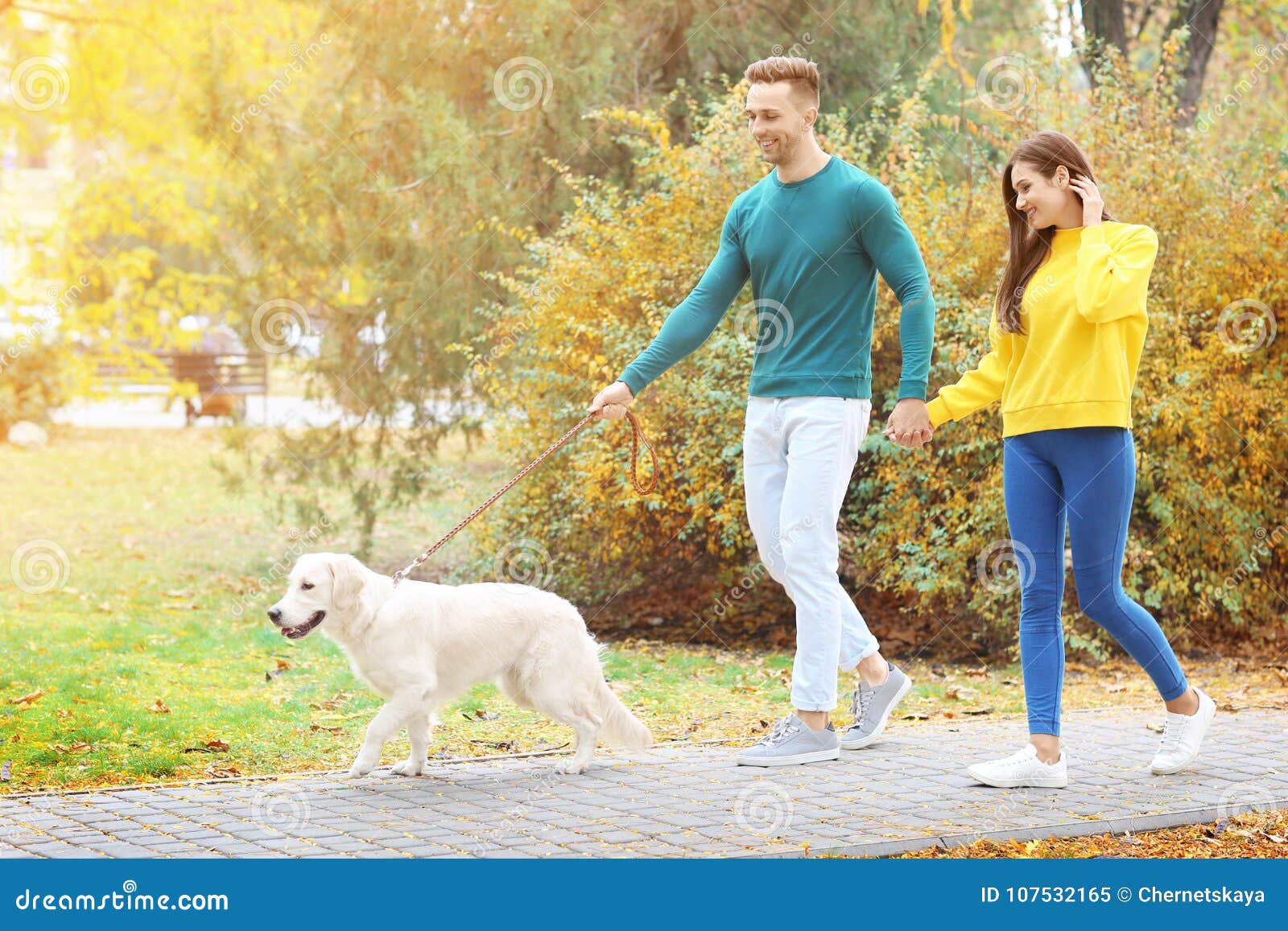 Young Couple Walking Their Dog Stock Image - Image of male, people ...