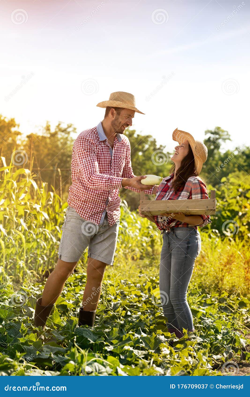 Young Couple Working on Farm Stock Image - Image of hobby, basket ...