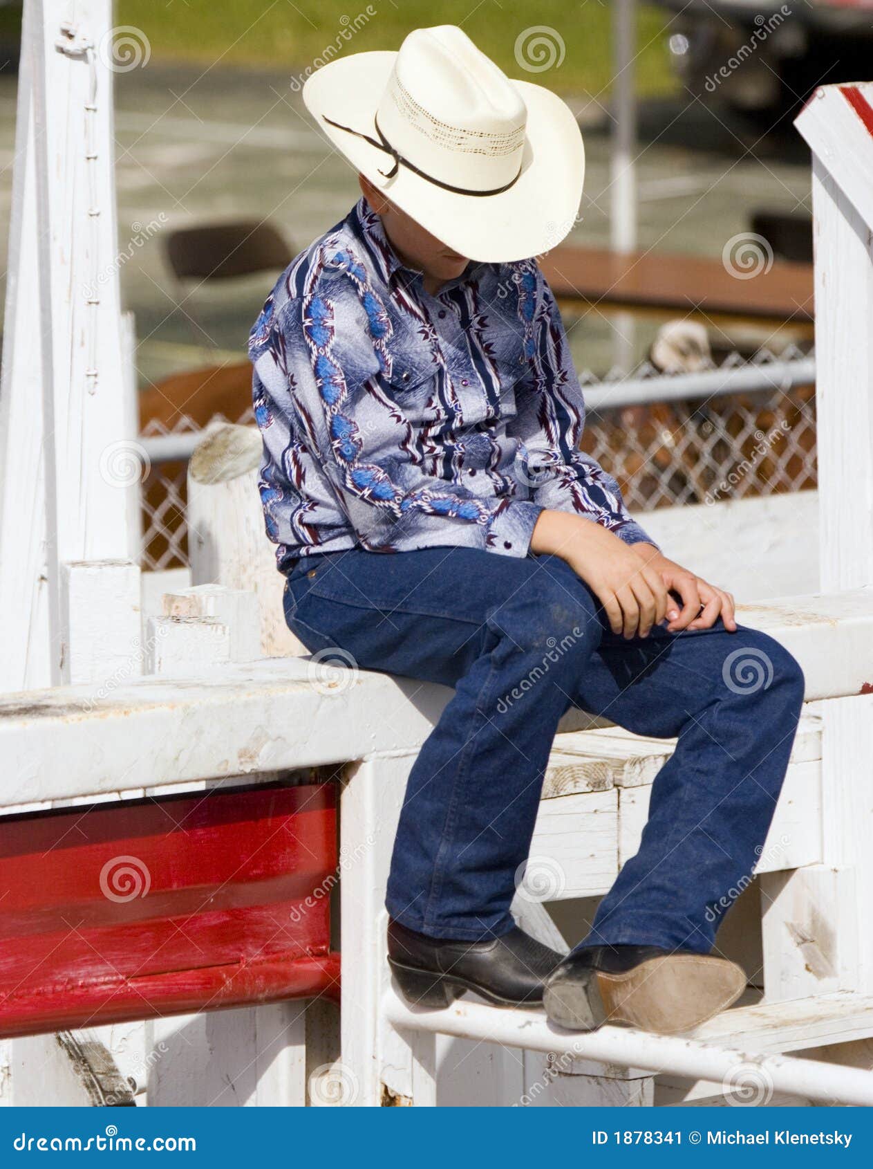 Young Cowboy stock image. Image of country, cowpoke, cowboy - 1878341