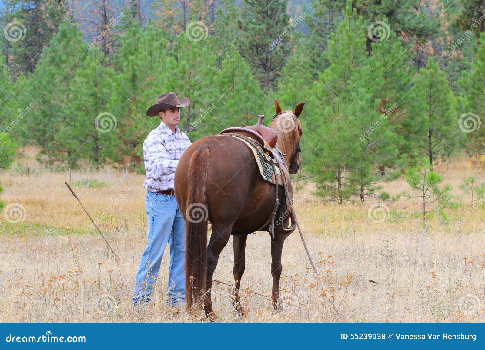Young cowboy stock photo. Image of check, rancher, person - 55239038