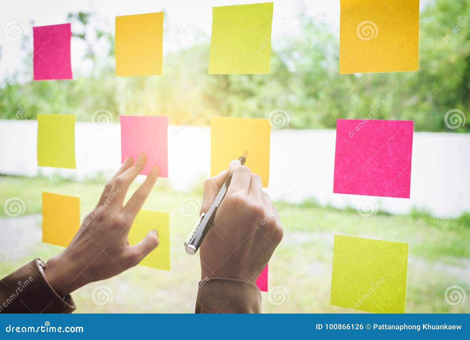 Young Creative Professional Leader Using Post it Notes in Glass Stock ...