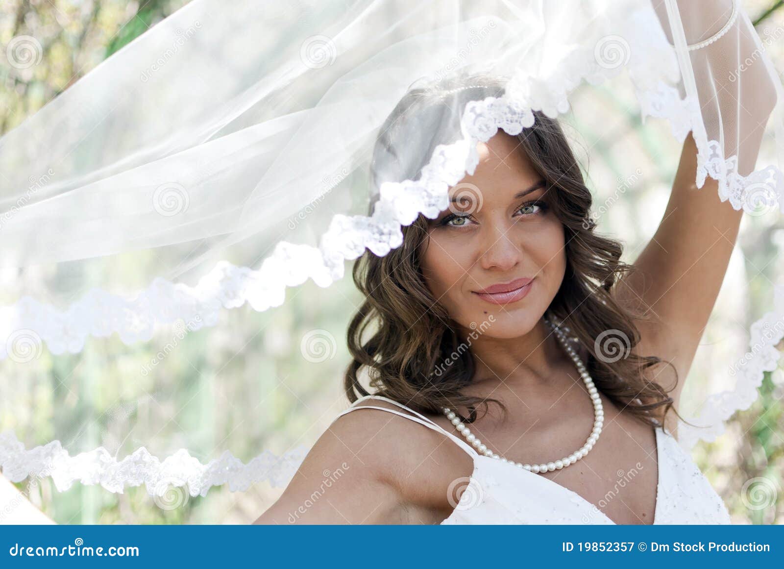 Young Cute Bride Posing with a Veil Stock Image - Image of white, lips ...
