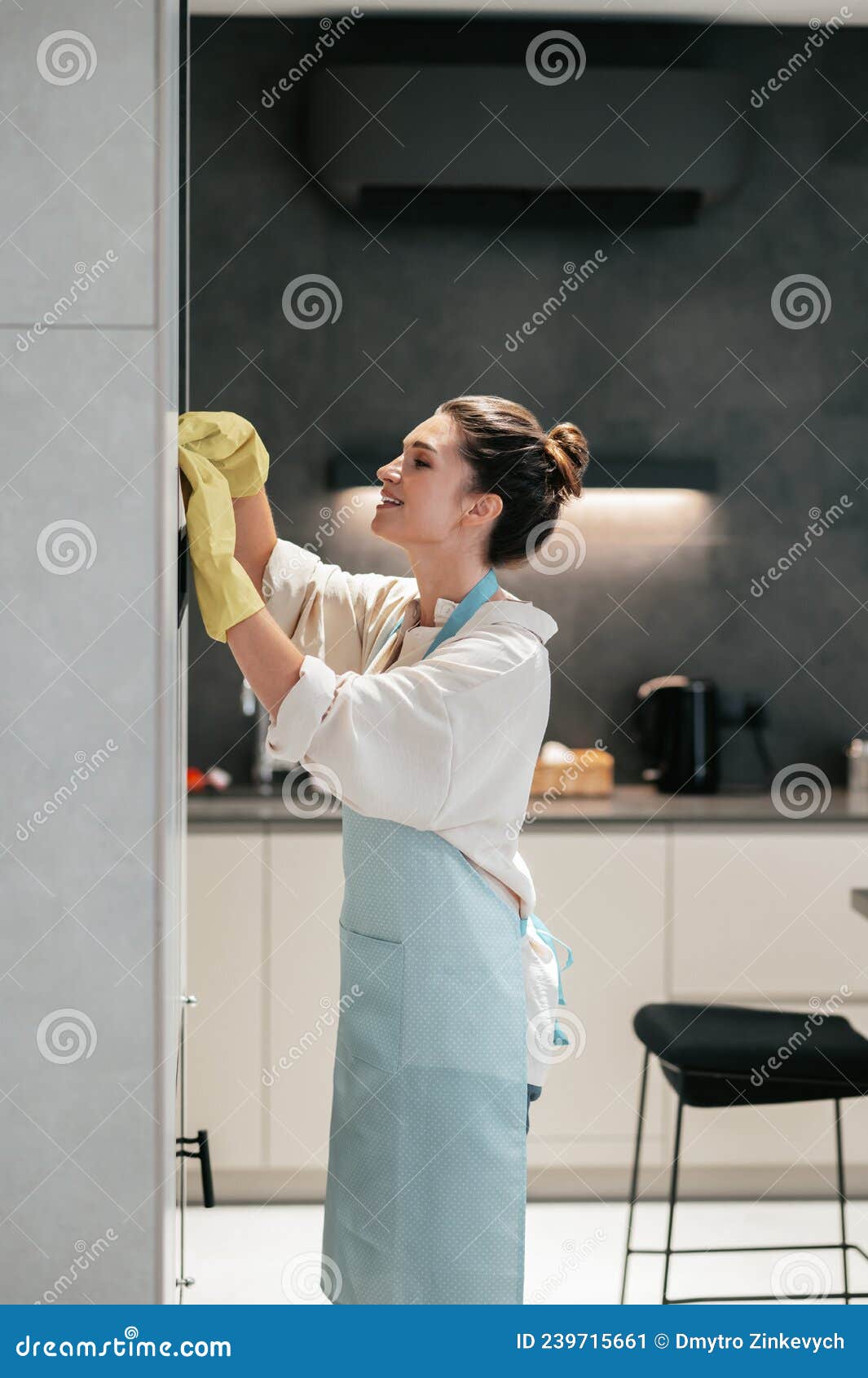 Young Dark-haired Woman Looking Busy while Doing Housework Stock Image ...