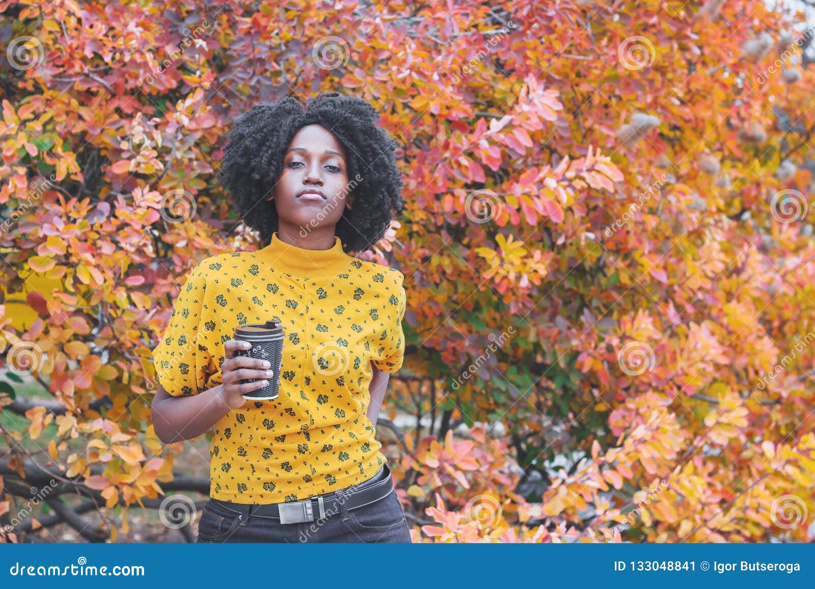 Young Dark Skinned Woman Dressed In Casual Clothes Posing In The Park