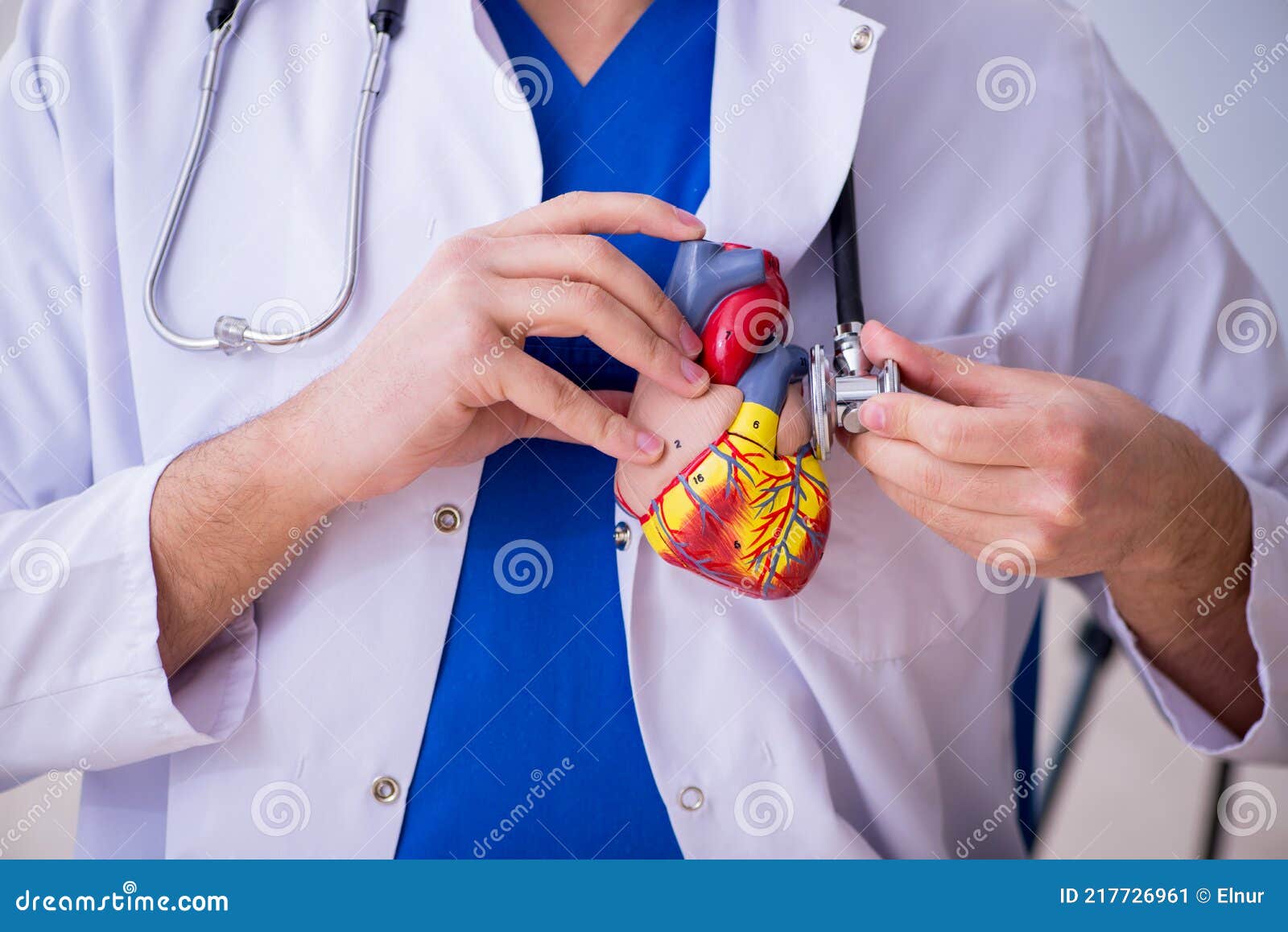 Young Male Doctor Cardiologist in the Classroom Stock Image - Image of ...