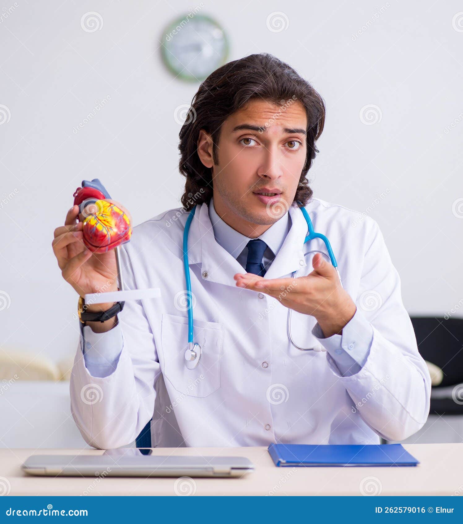 Young Doctor Cardiologist with Heart Model Stock Photo - Image of ...