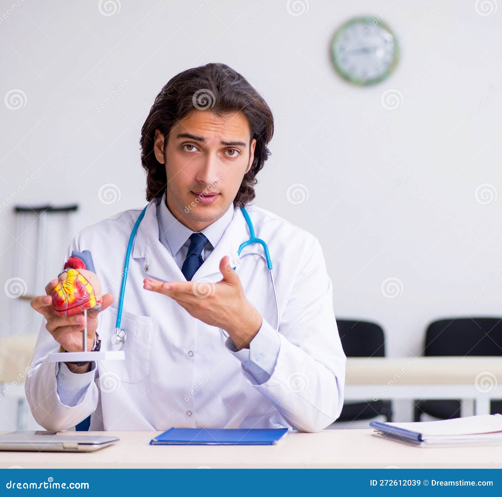 Young Doctor Cardiologist with Heart Model Stock Image - Image of case ...