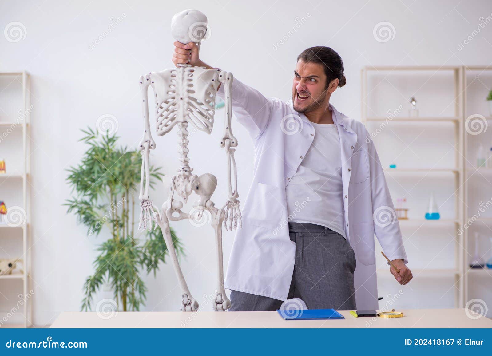 Young Male Doctor Demonstrating Human Skeleton Stock Image - Image of ...