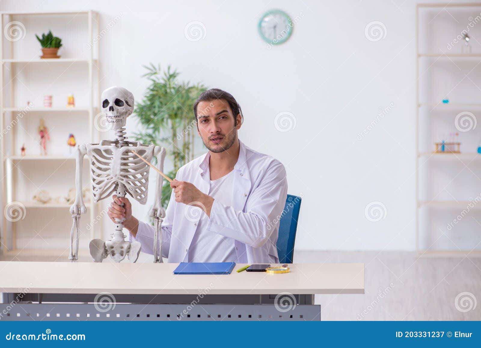 Young Male Doctor Demonstrating Human Skeleton Stock Image - Image of ...