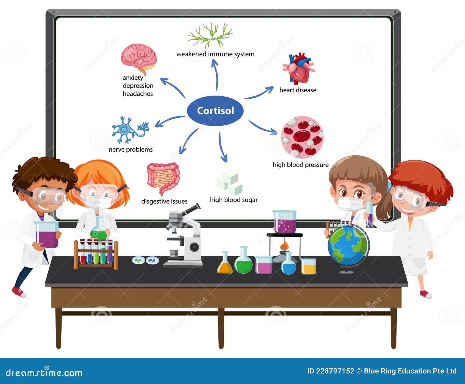 Young Doctor Explaining Cortisol Steroid Hormone Stock Vector ...