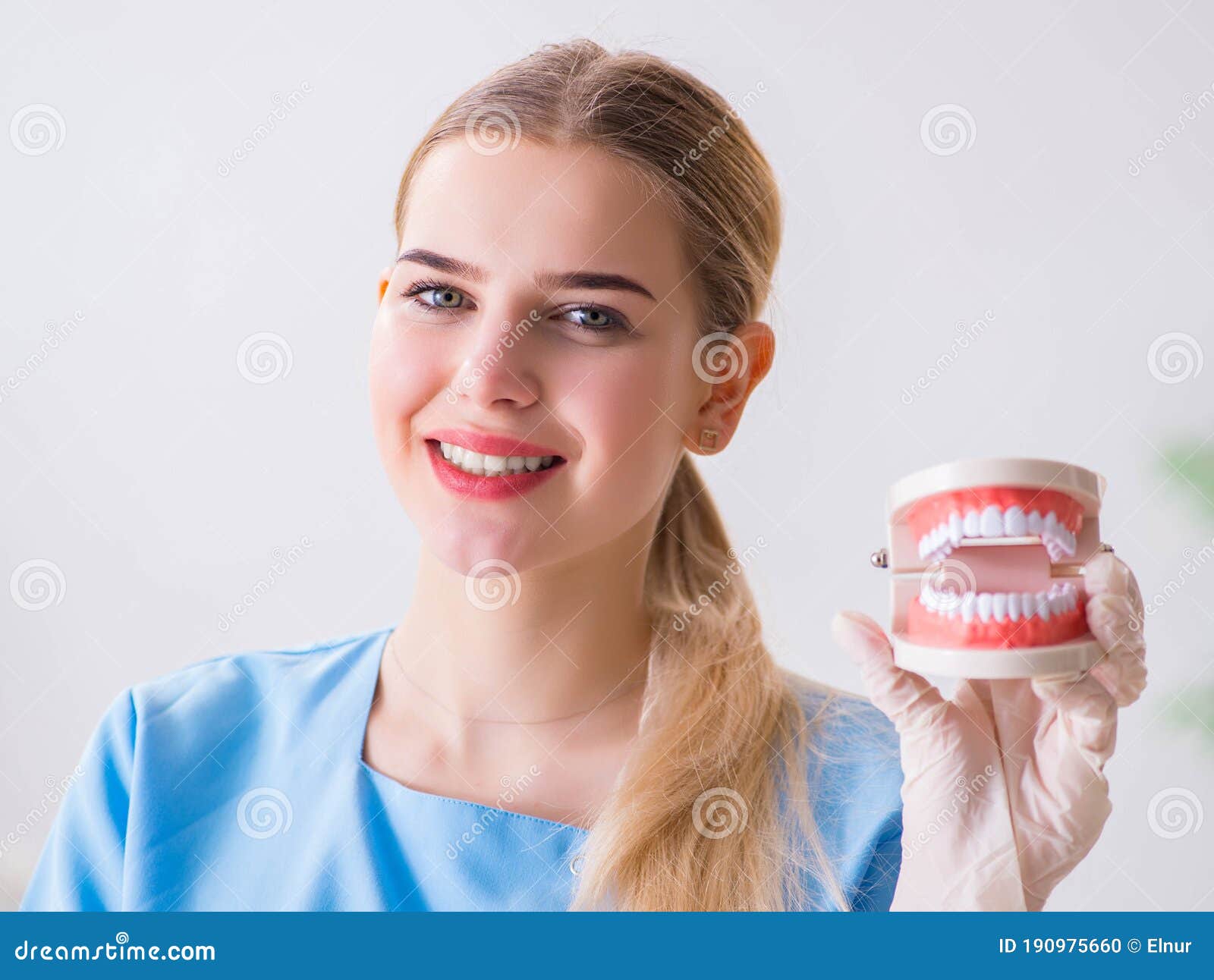 Young Doctor Nurse with Dentures Stock Photo - Image of clinic ...