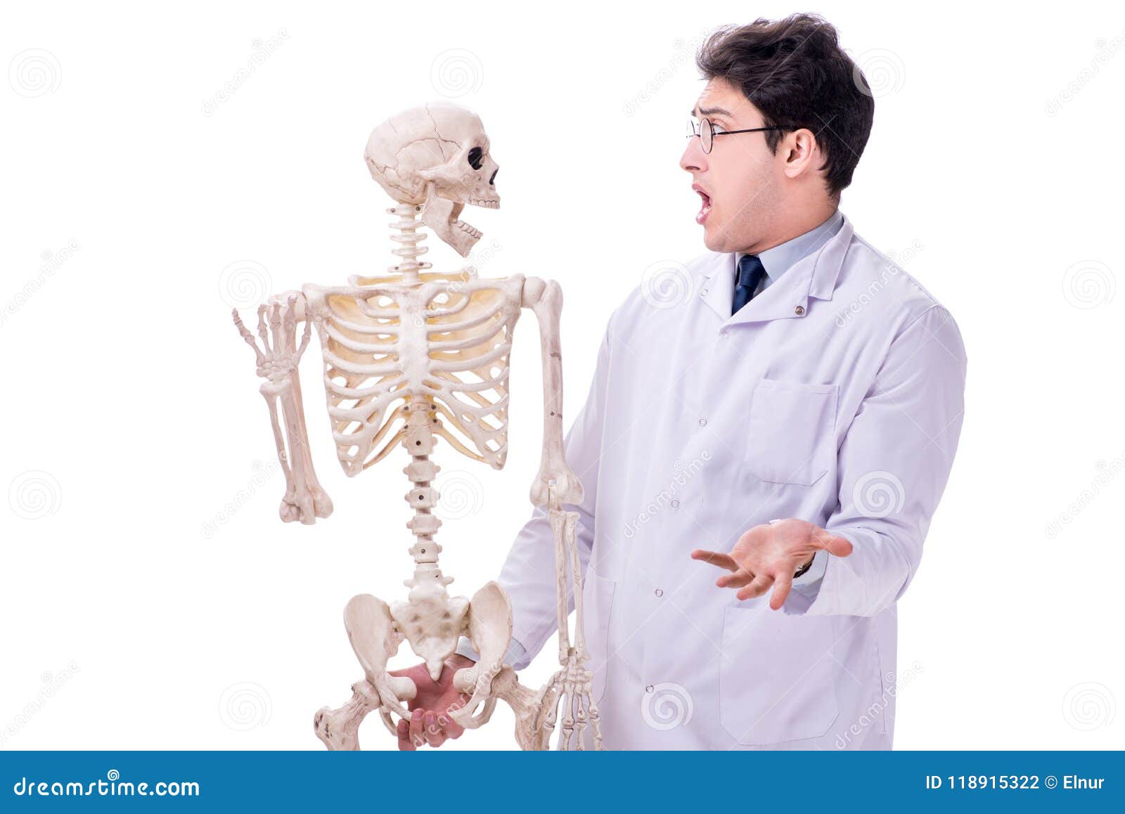 The Young Doctor with Skeleton Isolated on White Stock Photo - Image of ...