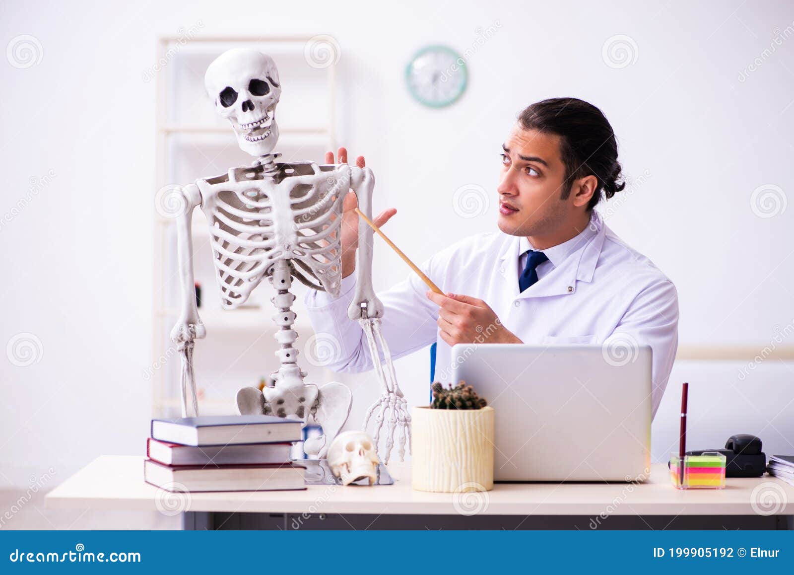 Young Male Doctor Studying Human Skeleton Stock Photo - Image of intern ...