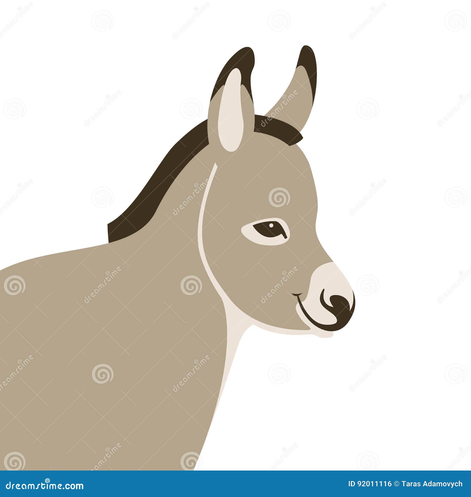 Young Donkey Farm Animal. Watercolor Illustration. Hand Drawn Realistic ...