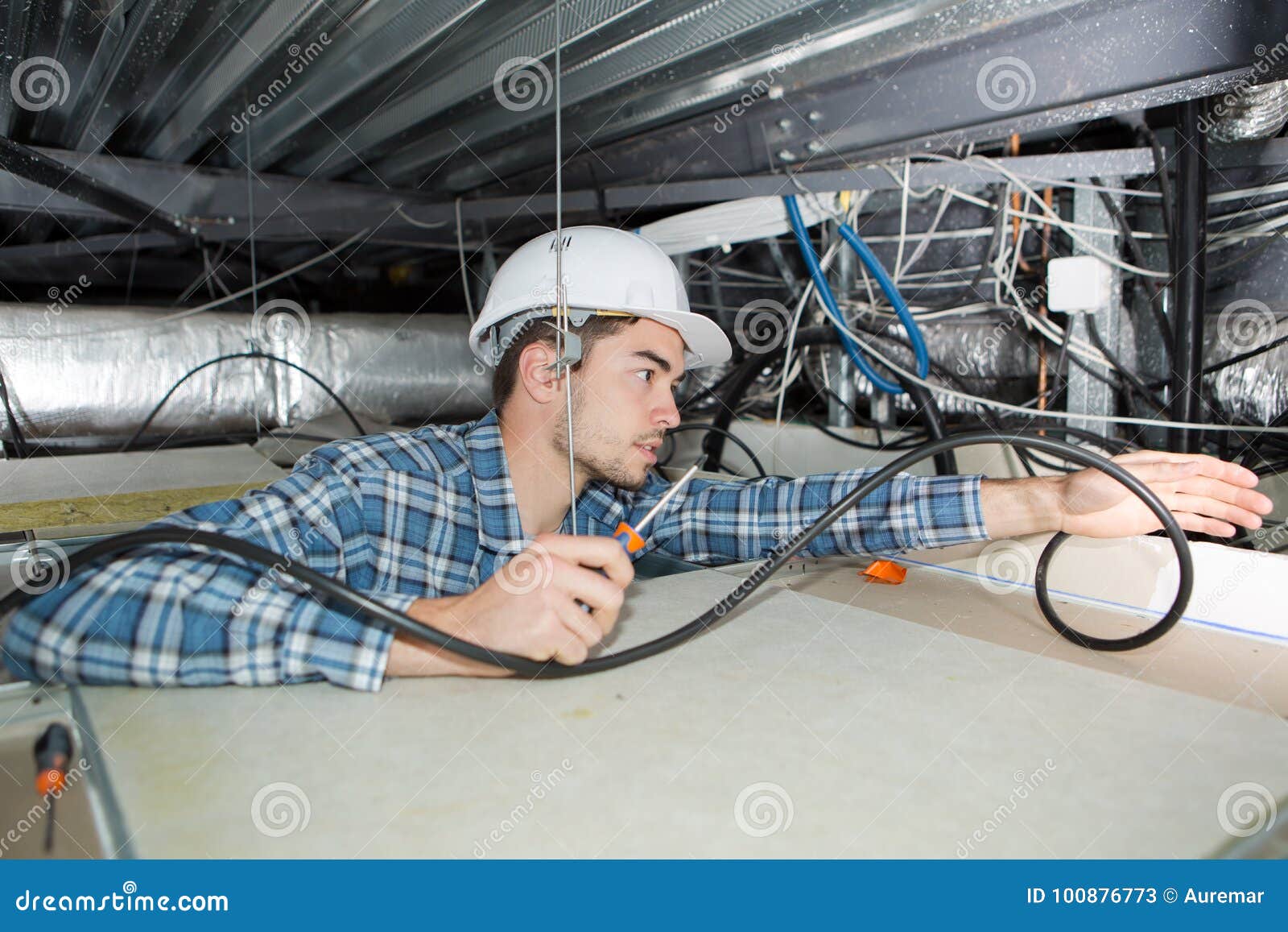 Young Electrician Fixing Neon on Ceiling Stock Image - Image of ...