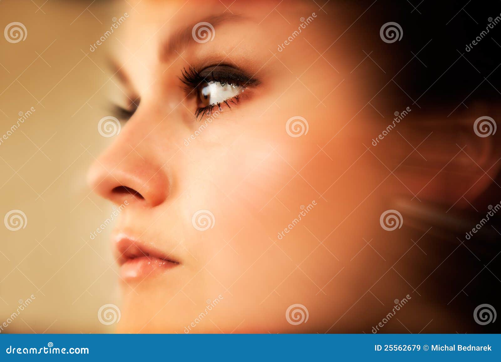 Young elegant lady face stock image. Image of looking - 25562679