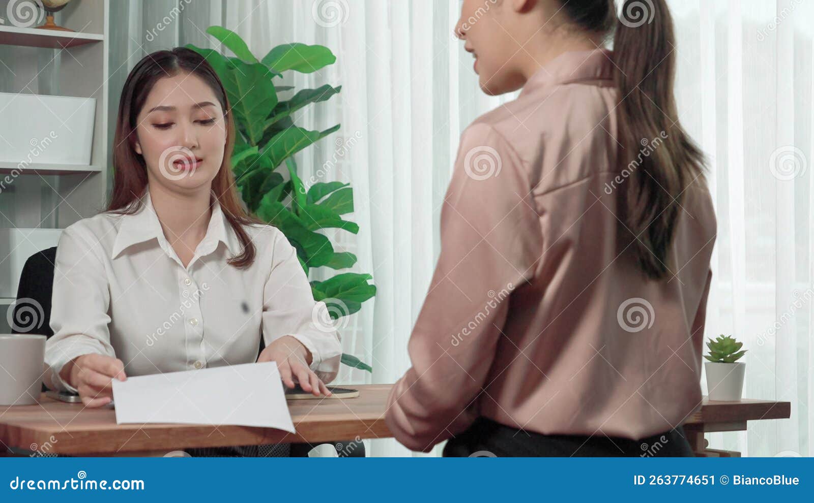 Young and Enthusiastic Candidate Interview with HR Manager in Office ...