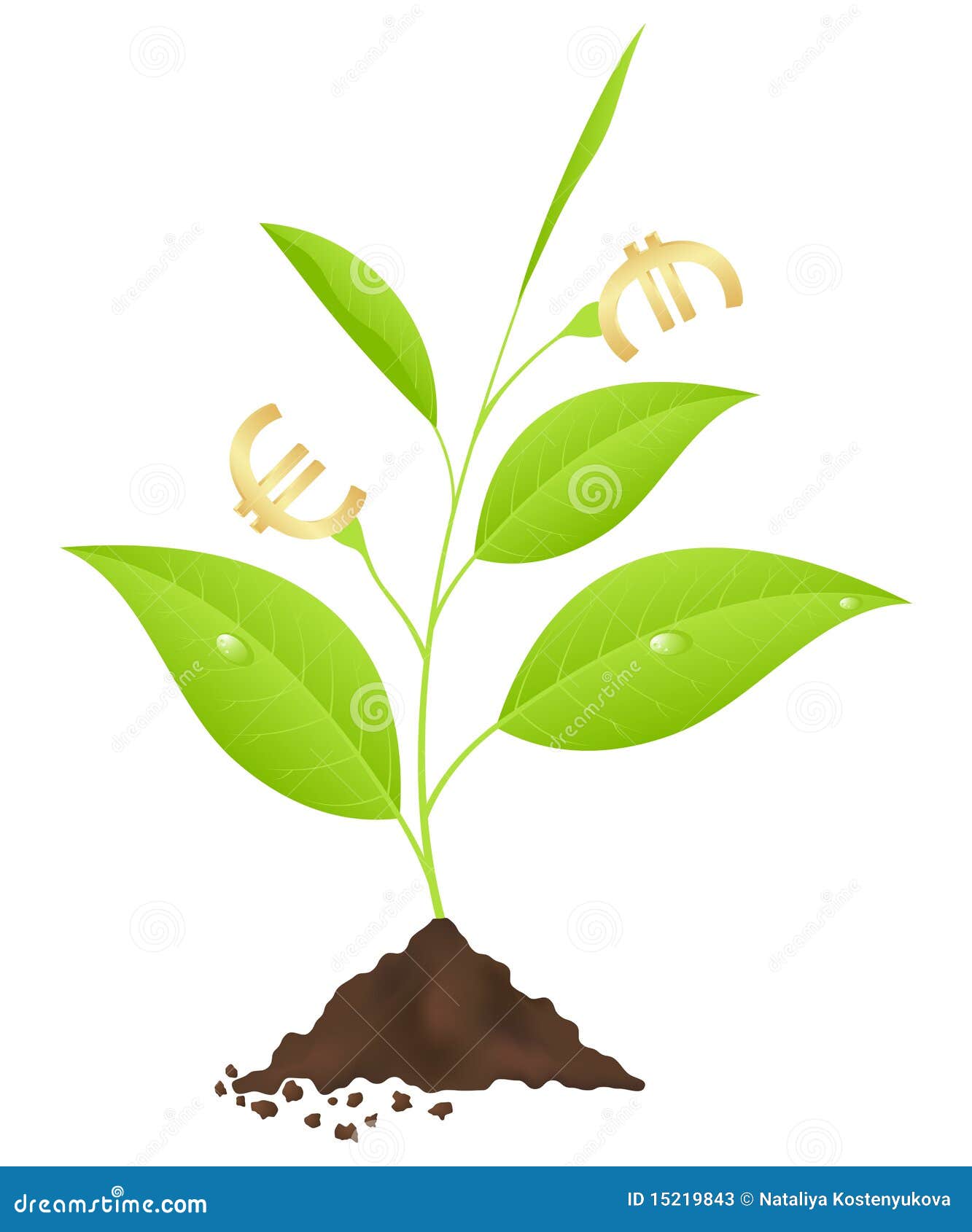 Young euro tree stock vector. Illustration of gold, deciduous - 15219843