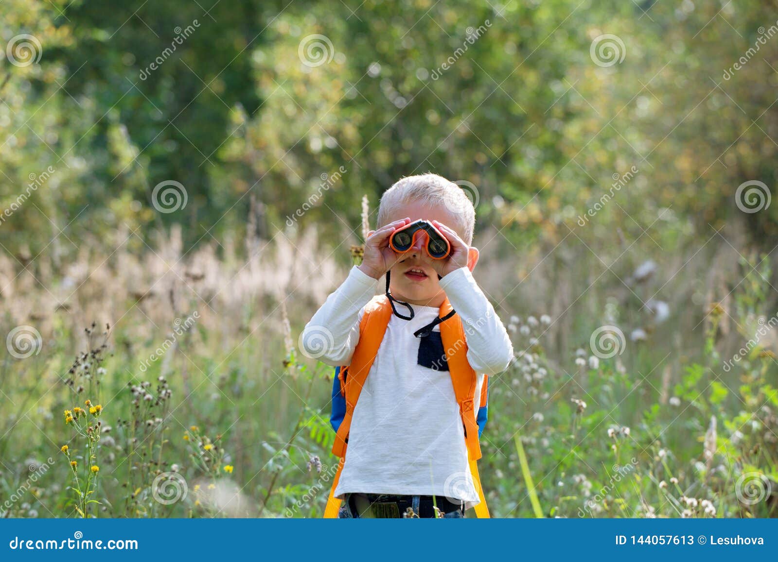 Young Explorer Watching with Binoculars of Birds in the High Grass ...