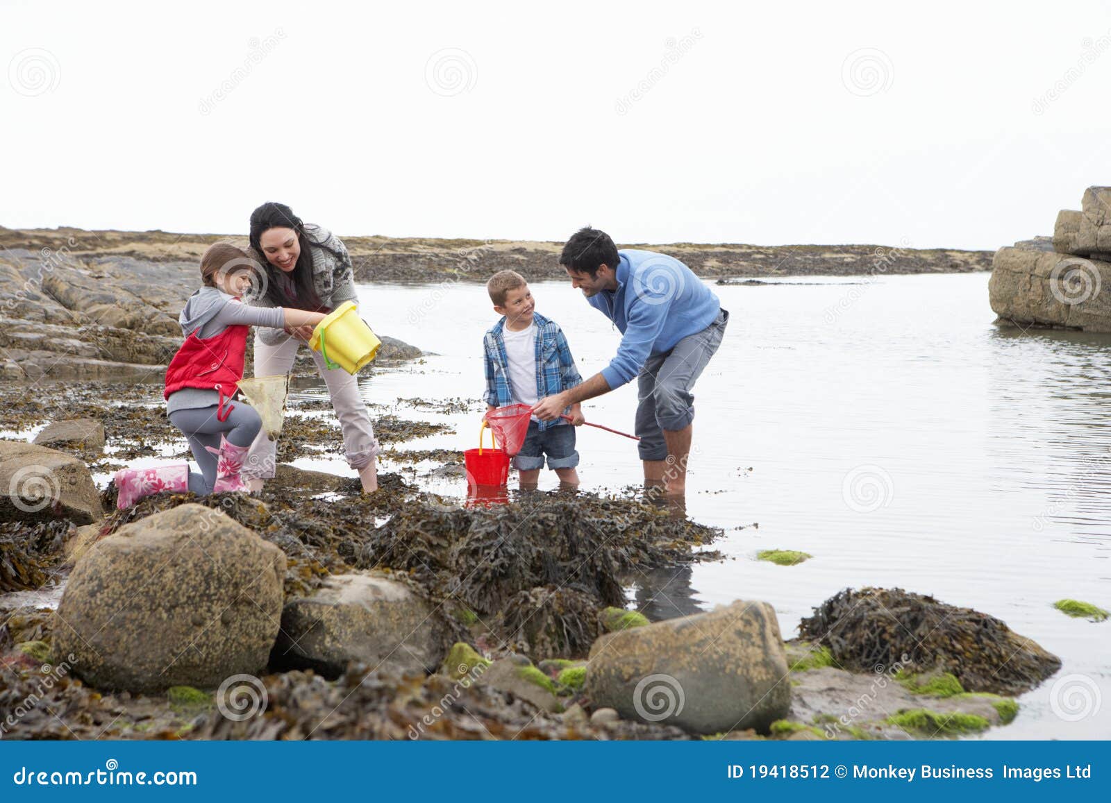 Young Family at Beach Collecting Shells Stock Photo - Image of learning ...
